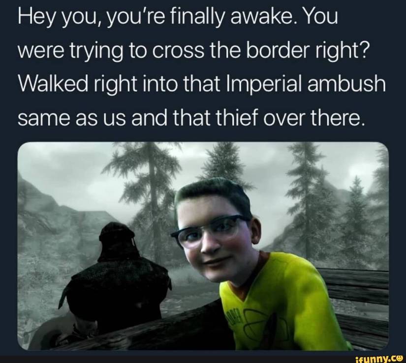 Skyrim: 10 Most Hilarious "You're Finally Awake" Memes