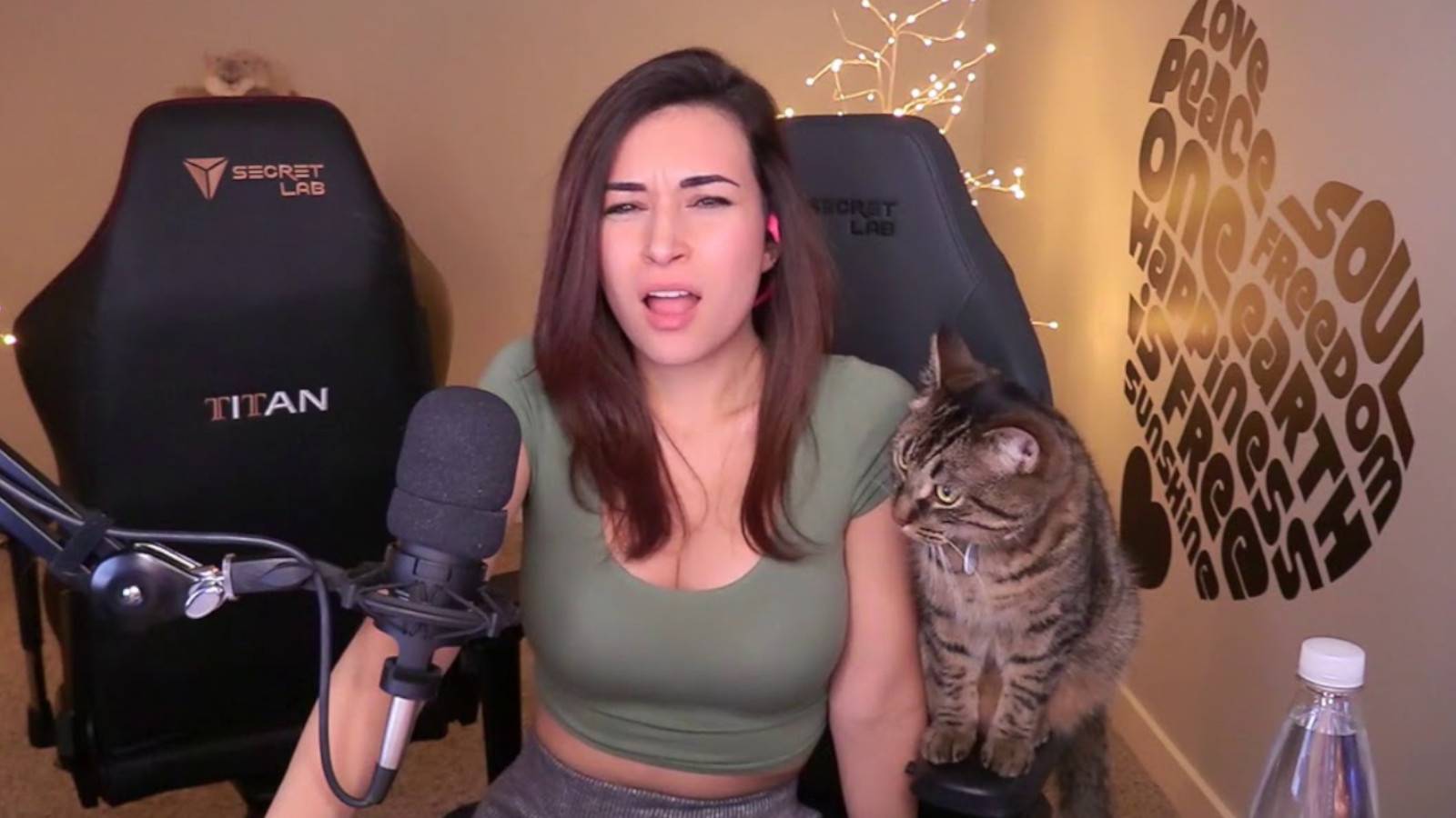 Pornhub Confirms Alinity Is Too NSFW, Even For Them