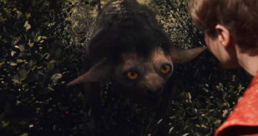 Every Monster In The Witcher Series From Weakest To Strongest