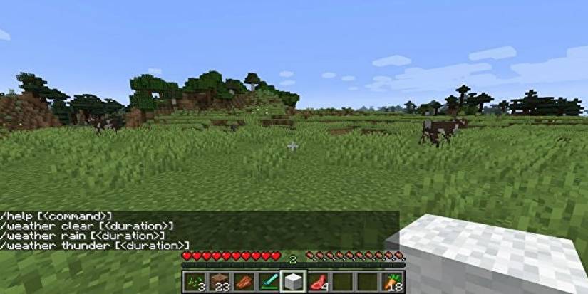 Minecraft: 10 Things You Didn't Know About Survival Mode