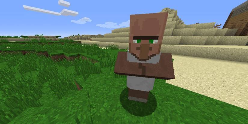 Minecraft: 10 Things You Didn't Know About Villagers