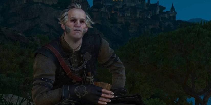 The Witcher 3: 10 Details Everyone Completely Missed About Regis From ...