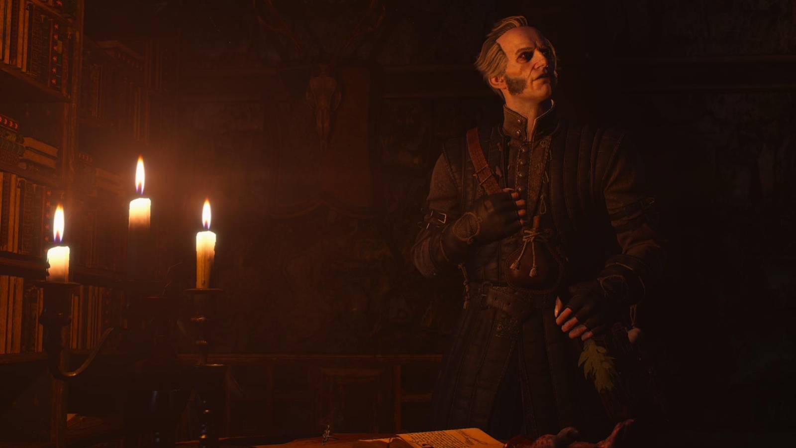 The Witcher 3: 10 Details Everyone Completely Missed About Regis From ...