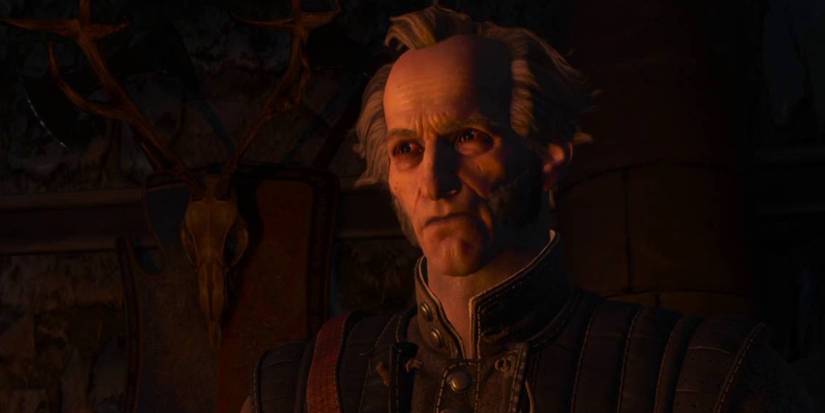 The Witcher 3: 10 Details Everyone Completely Missed About Regis From ...