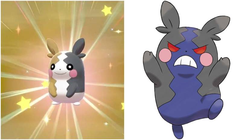 shiny shieldon comparison