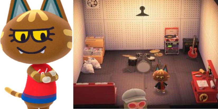Animal Crossing New Horizons: 15 Villagers You DON'T Want On Your Island