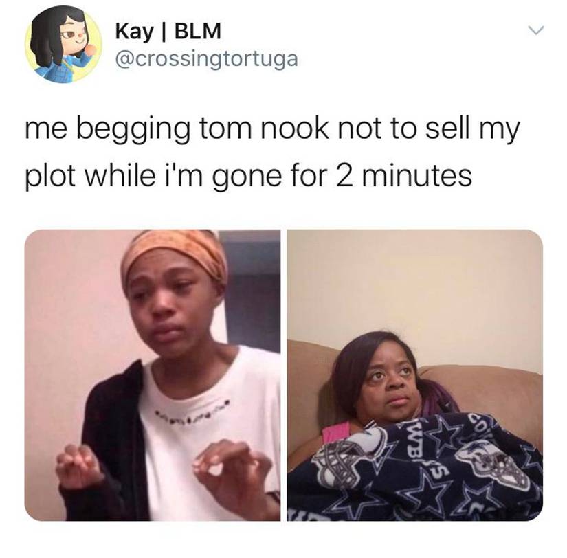 Animal Crossing New Horizon: 15 Hilarious Tom Nook Memes That Are Too Funny