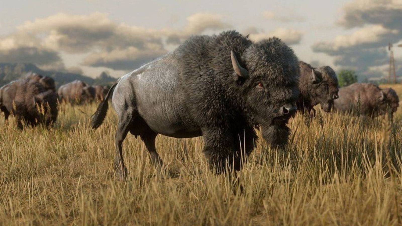 Red Dead Redemption 2: A Complete Guide To Trinkets