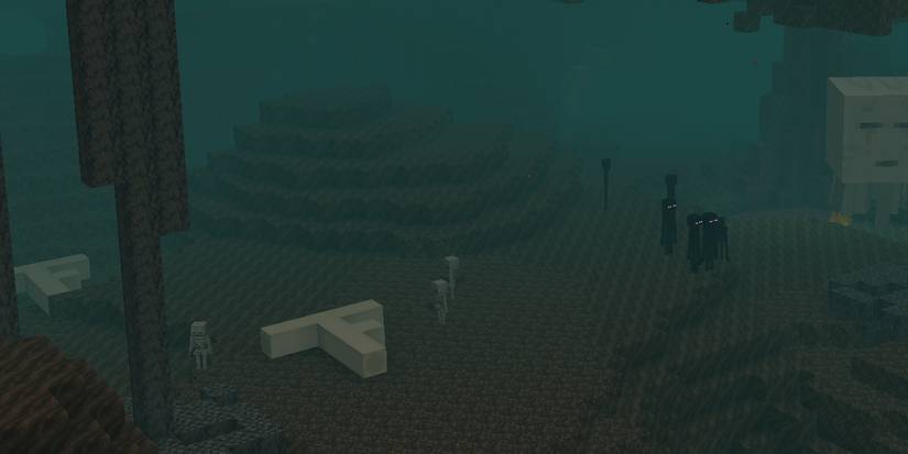 Minecraft: 9 Things You Didn’t Know You Could Do In The Nether Update