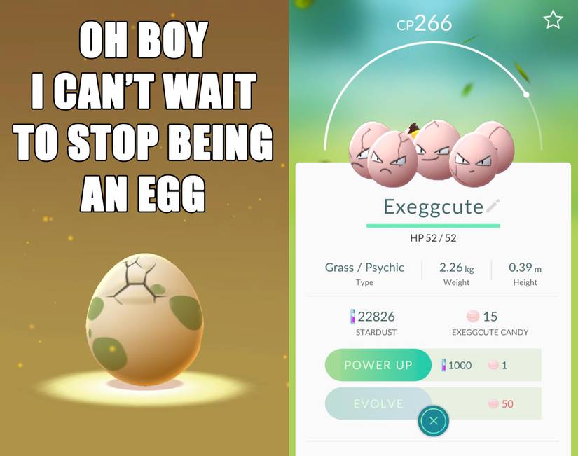 Pokémon: 10 Hilarious Day Care Breeding Memes Only Real Fans Will ...