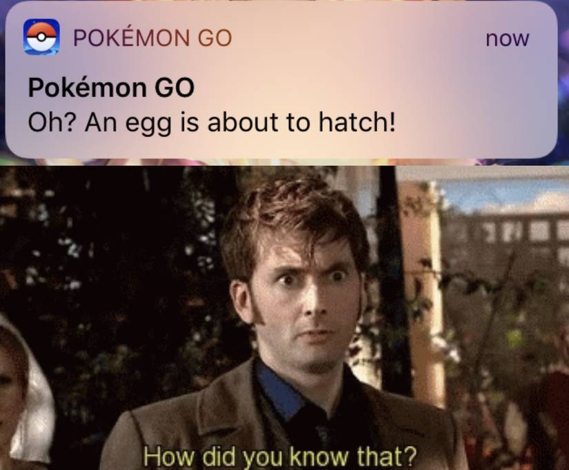 Pokémon: 10 Hilarious Day Care Breeding Memes Only Real Fans Will ...