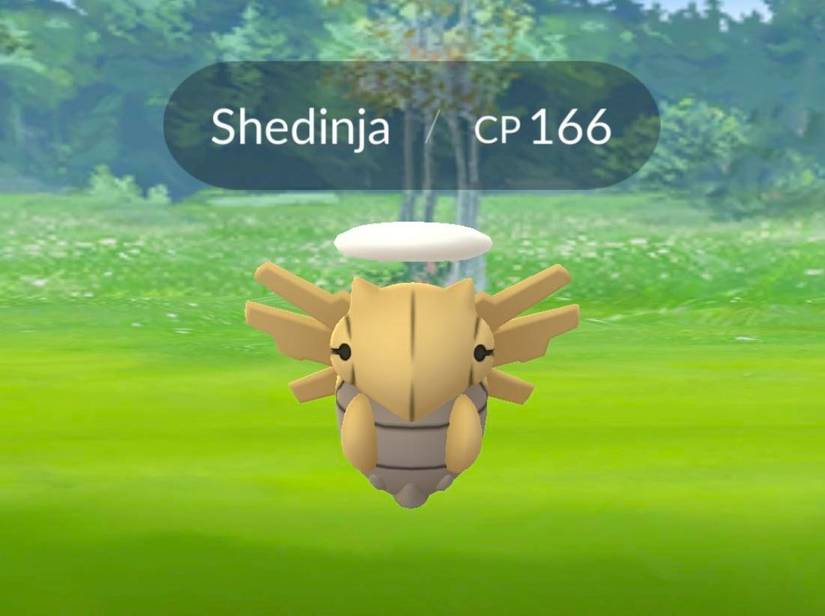 10 Pokémon That Learn Moves that Make No Sense