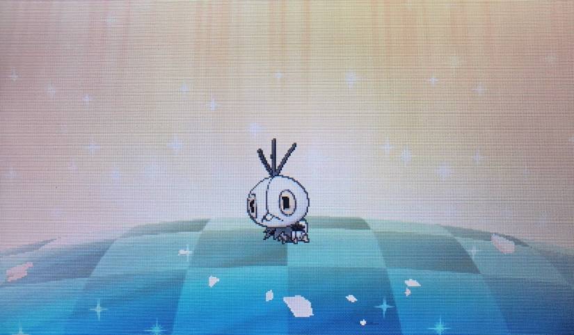 Pokemon: The Best White Shiny Pokemon