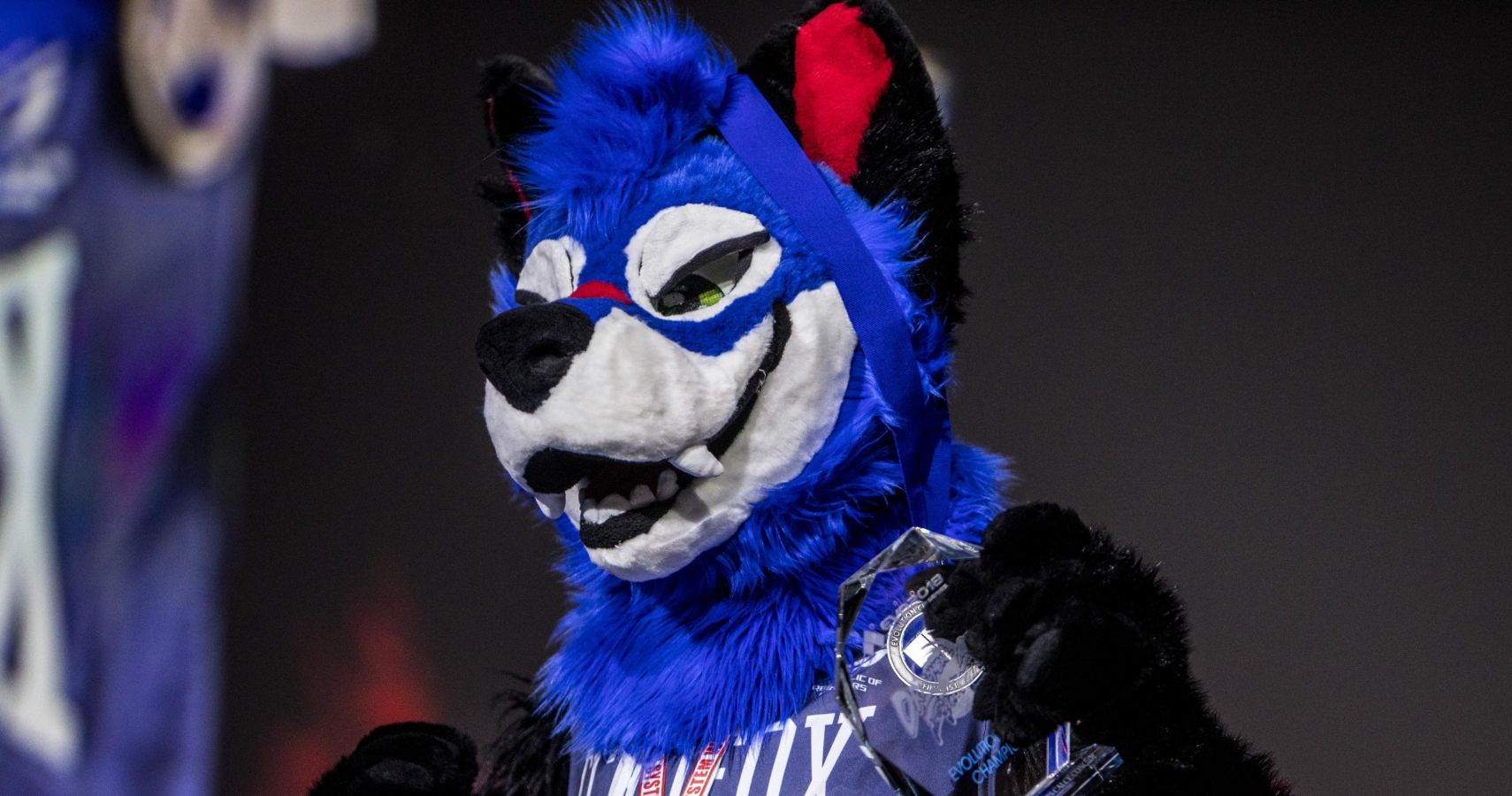 SonicFox | TheGamer