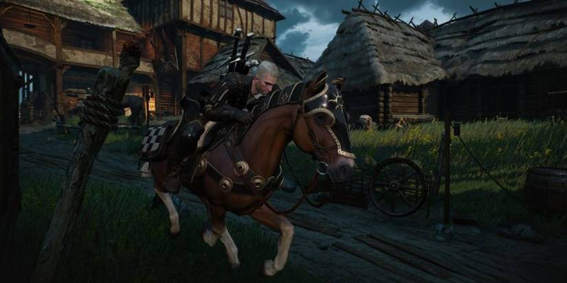 The Witcher: 10 Weird Details You Never Knew About Roach