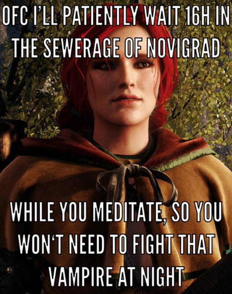 10 Witcher Memes That Prove The Games Make No Sense
