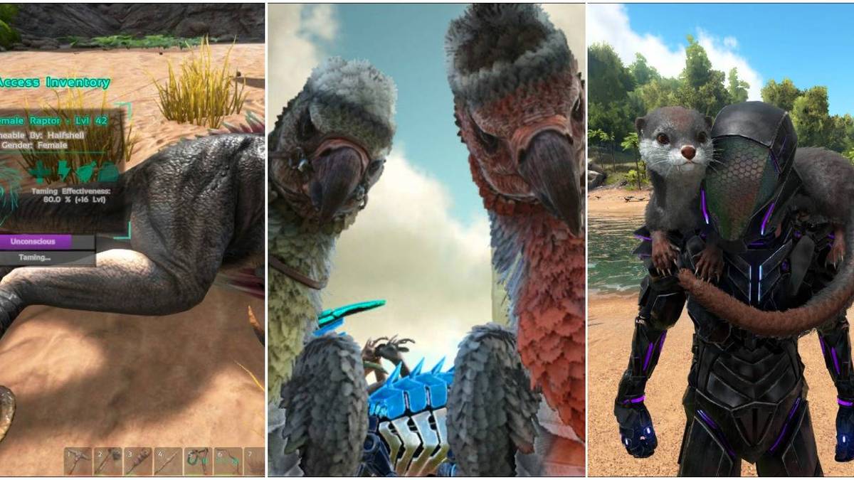 Top 16 Creatures To Tame First In Ark: Survival Evolved