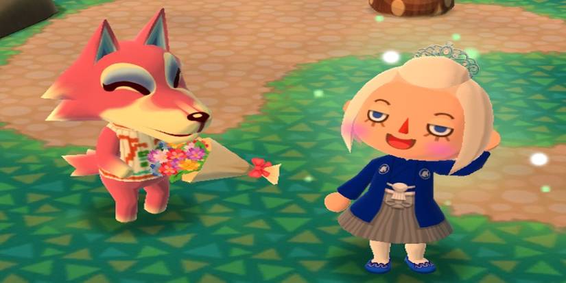 Animal Crossing: 15 Things You Didn't Know About Freya