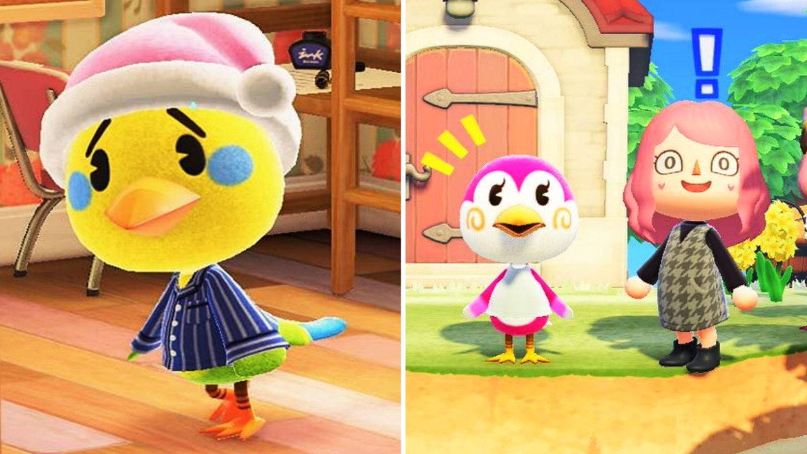Animal Crossing: The 10 Best Birds Villagers, Ranked
