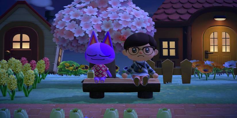 Animal Crossing: 10 Things You Didn't Know About Bob
