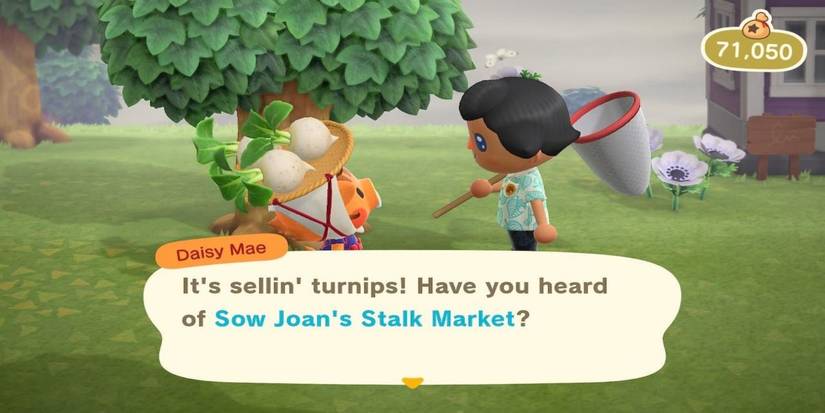 Animal Crossing: New Horizons - 10 Ways to Make the Most Out Of Your ...