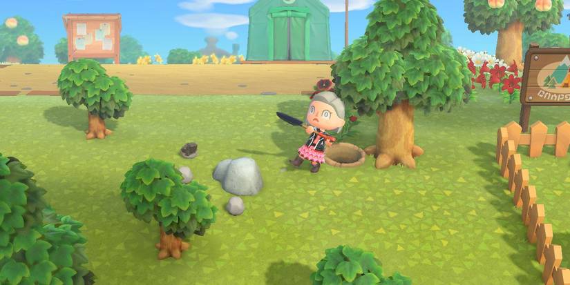 Animal Crossing: Everything To Know About Rocks