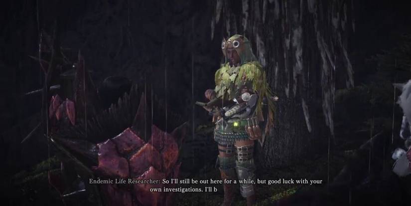Monster Hunter World: 10 Tips For Finding The Phantom Bird