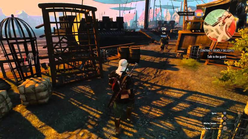 The Witcher 3: 10 Useful Locations In Novigrad You Need To Keep In Mind