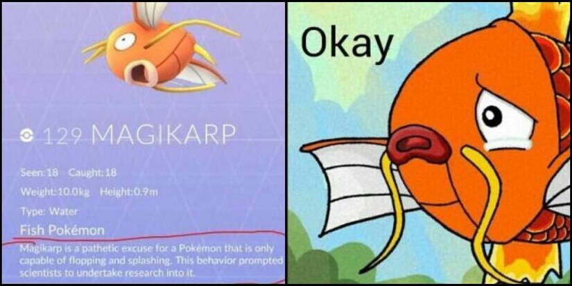 Pokémon: 10 Magikarp Memes That Make Us Cry-Laugh