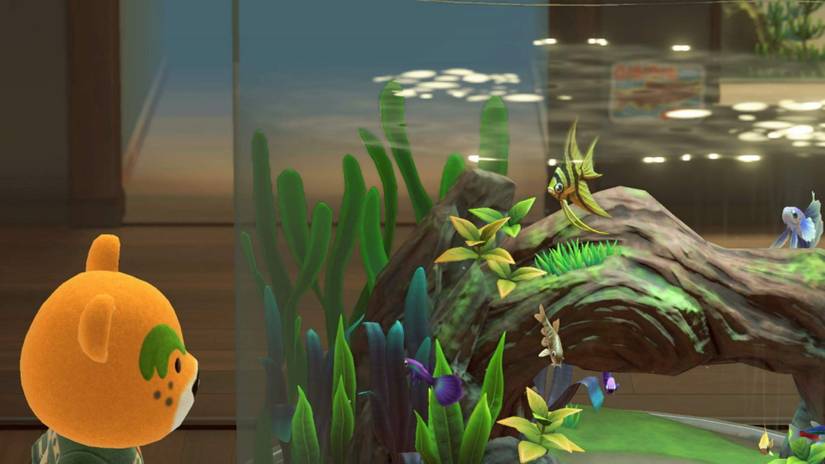 Animal Crossing: New Horizons - 15 Fish That Sell For The Most Bells