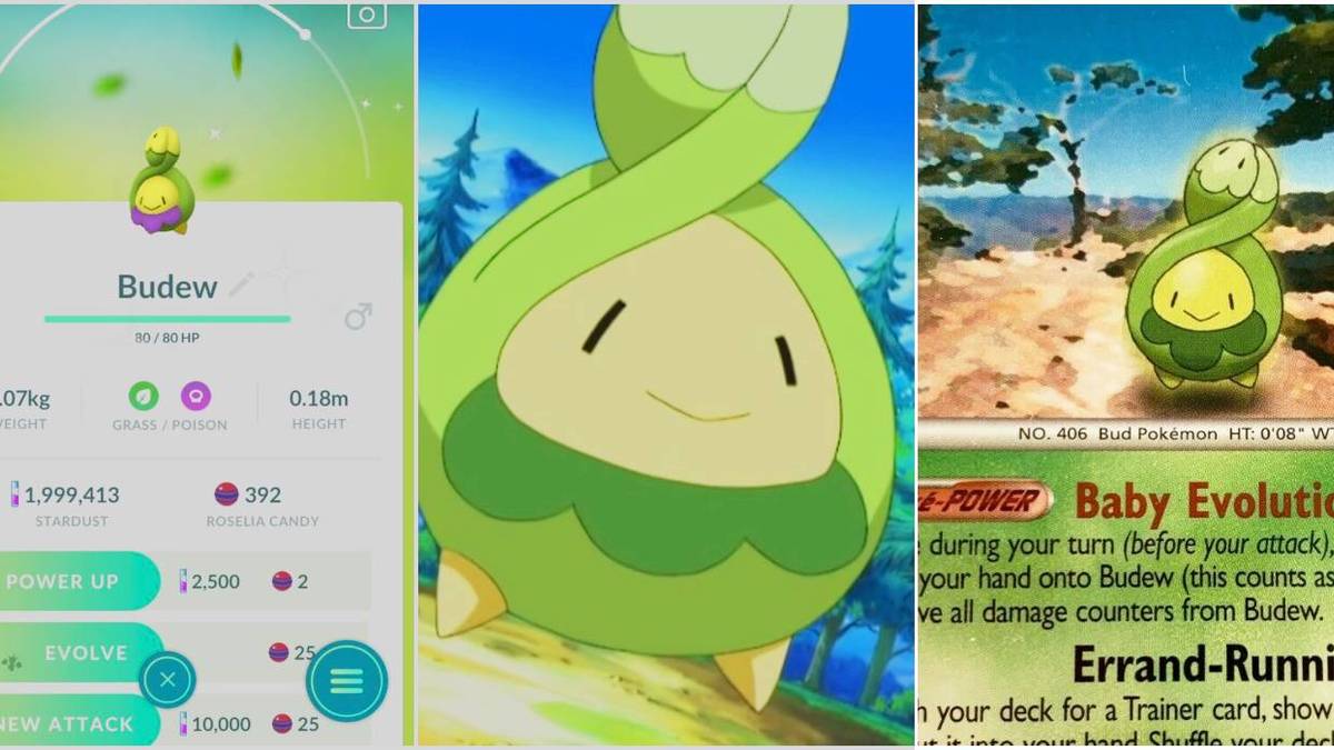 How To Evolve Budew (& 13 Other Facts About The Pokemon)