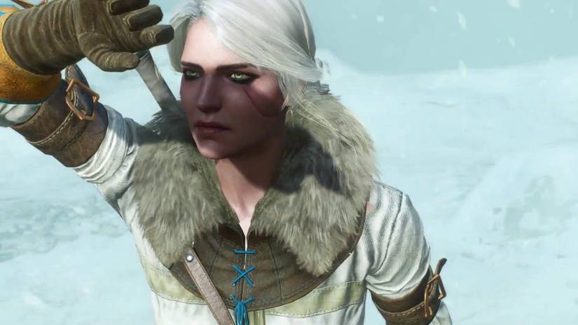 the witcher 3 plot holes