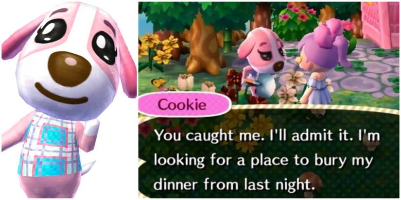 The Cutest Dogs In Animal Crossing: New Horizons, Ranked