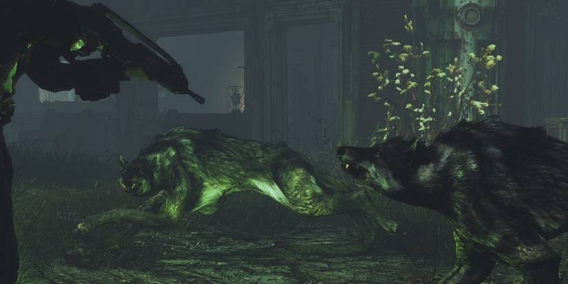 Fallout 4: The 10 Scariest Creatures In Far Harbor