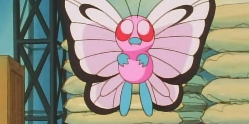 butterfree eats