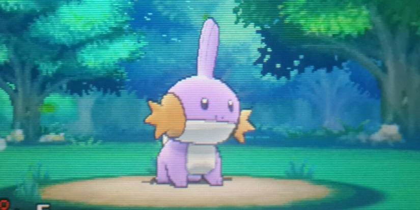 shiny mudkip omega ruby
