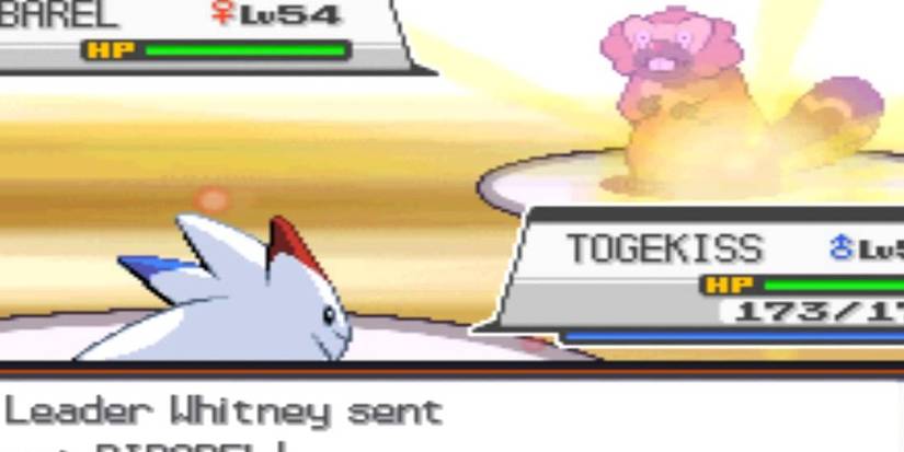 Pokémon: 10 Things You Didn't Know About The Gym Leader Whitney