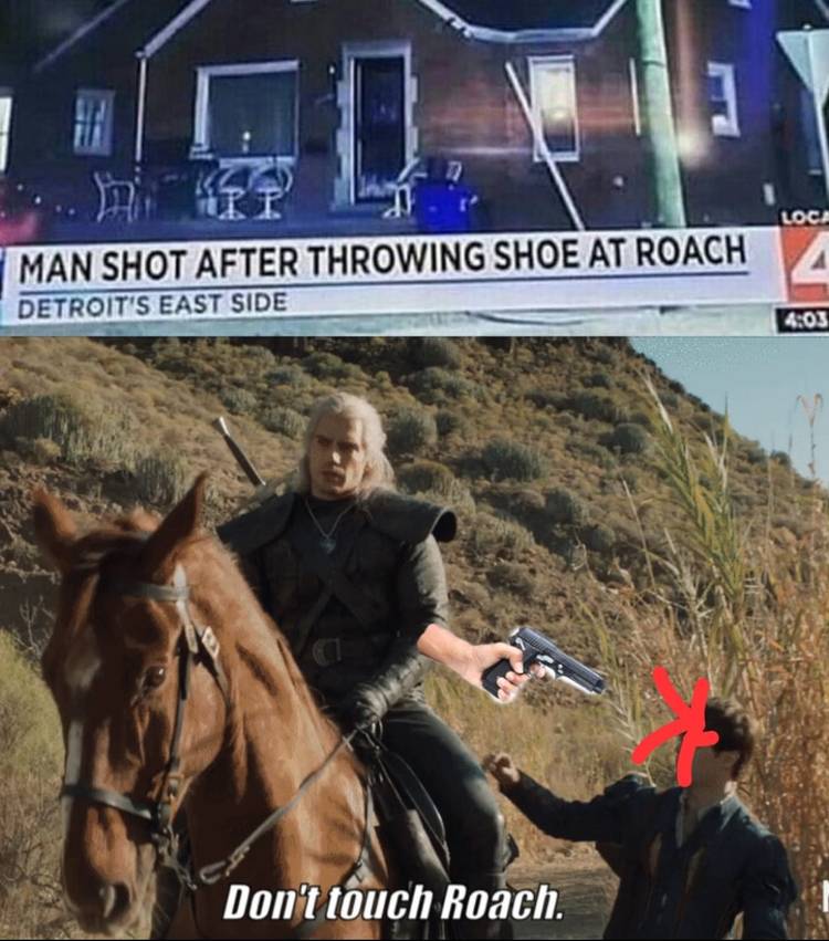 The Witcher 3: 10 Hilarious Roach Memes That Will Have You Cry Laughing