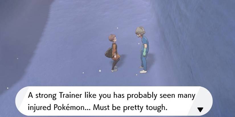 Pokémon Sword & Shield: 10 Quotes That Are Surprisingly Profound