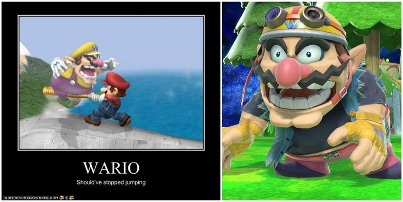 10 Funniest Wario Memes That Leave Us Cry Laughing