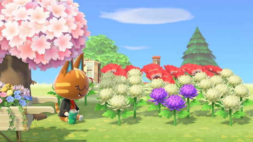 Animal Crossing: The 15 Best Sisterly Villagers