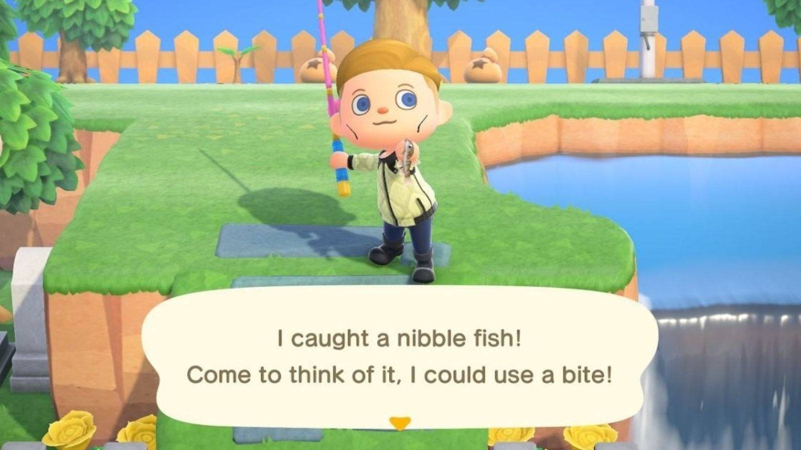 Animal Crossing: New Horizons - How To Catch The Nibble Fish