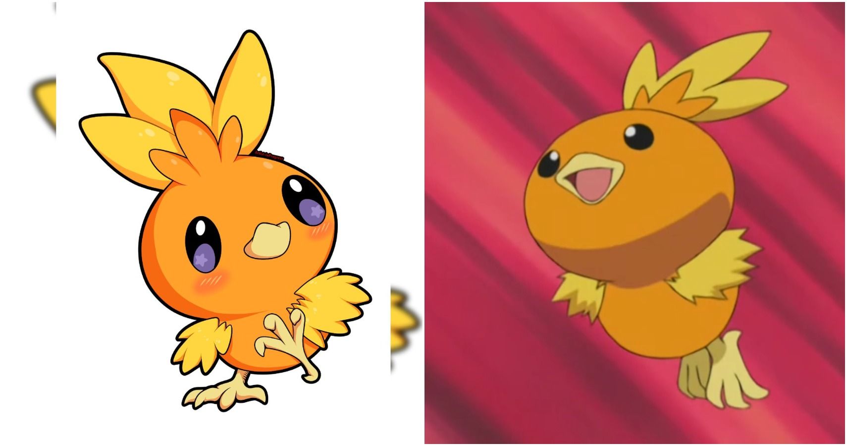 Torchic