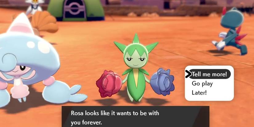 Pokémon Sword & Shield: Where To Find The Fire Stone (& Every Other ...