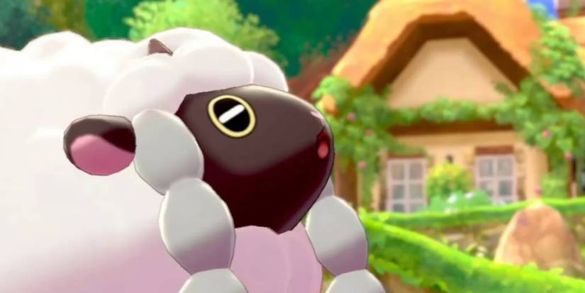 Pokémon Sword & Shield: 10 Things About Wooloo You Missed