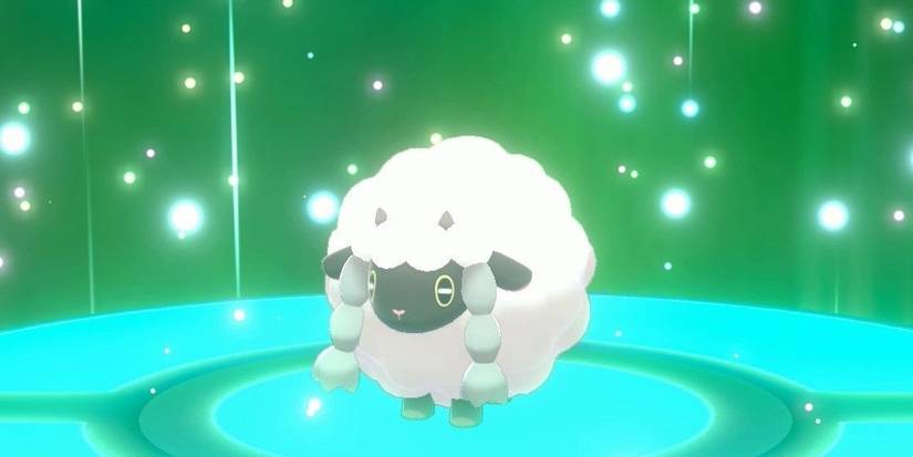 Pokémon Sword & Shield: 10 Things About Wooloo You Missed