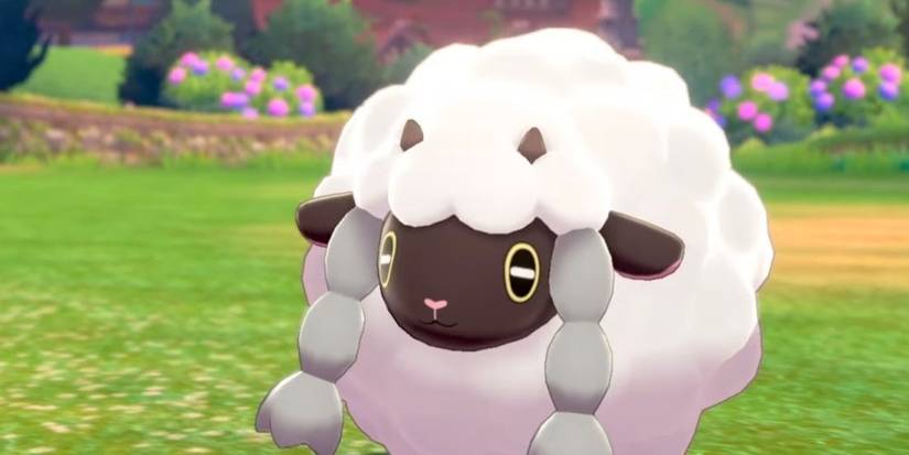 Pokémon Sword & Shield: 10 Things About Wooloo You Missed
