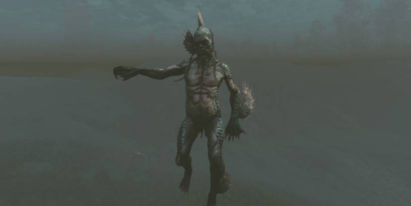 The Witcher: 10 Unanswered Questions We Still Have About Drowners