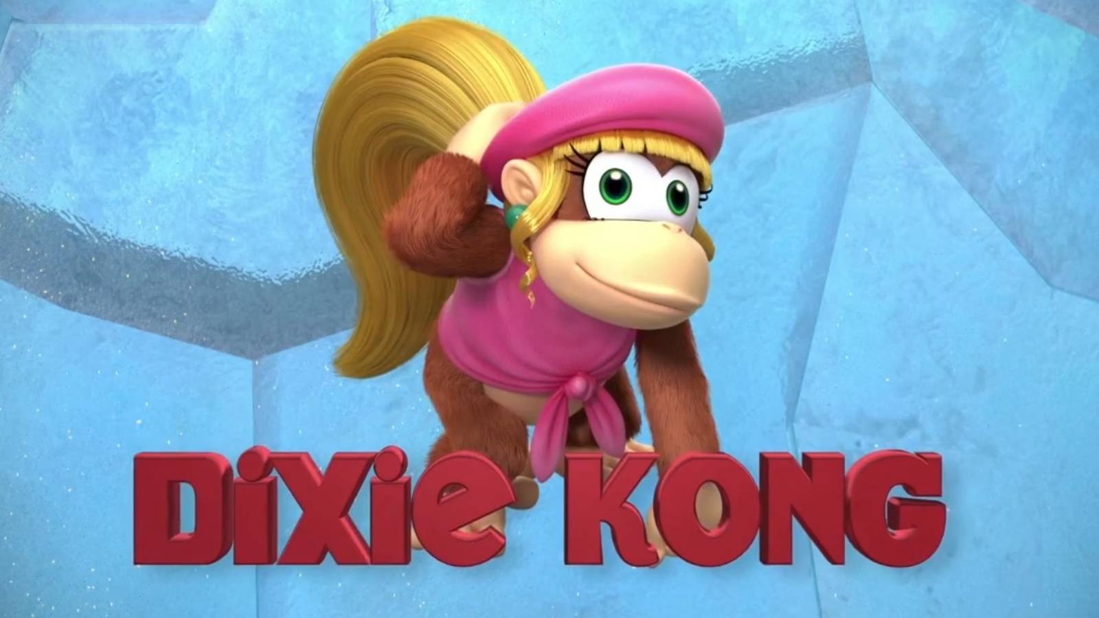 Donkey Kong Country: 10 Things Fans Need To Know About Dixie Kong