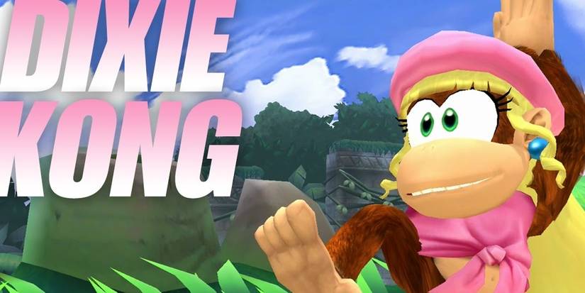 Donkey Kong Country: 10 Things Fans Need To Know About Dixie Kong